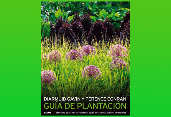 Guía de plantación - DecoEstilo