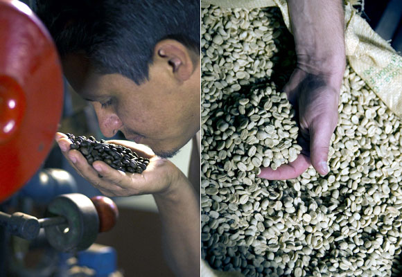 El café de Costa Rica - DecoEstilo