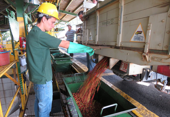 El café de Costa Rica - DecoEstilo